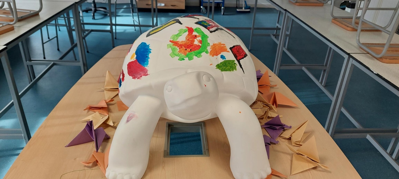 Rouge Bouillon School - Durrell Tortoise Takeover